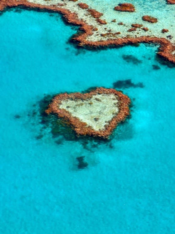 Oaks Perth Hotel | Perth Accommodation